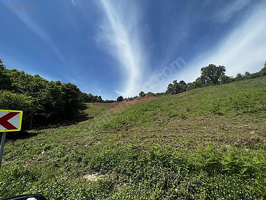 Sahibinden satilik 977 m2 insaat ruhsati alinmis - Satılık Arsa ...