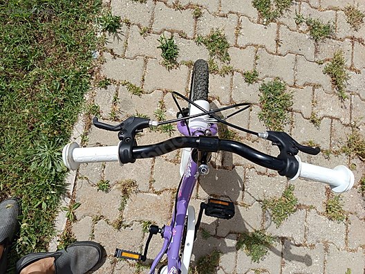 TRANSVAL Rosa, 16" jant Y sahibinden.comda - 1248321236