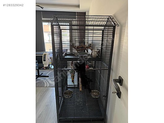 Sıfır gibi Dev büyük boy papağan kuş kafesi oyun alanlı sahibinden.comda - 1283329342