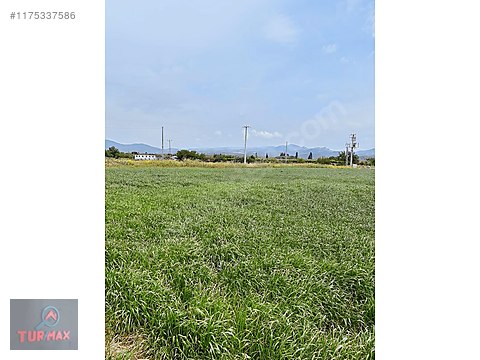 TURMAX'dan asvalt kenarı uzun yol cepheli tek parça Tarla - Satılık ...