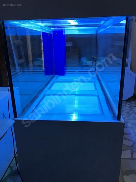 150*50*55 h KULE DURSO SUMP SİSTEMLİ AKVARYUM sahibinden.comda - 672342393