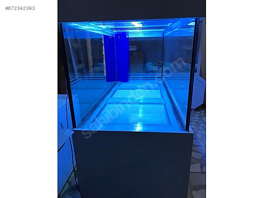 150*50*55 h KULE DURSO SUMP SİSTEMLİ AKVARYUM sahibinden.comda - 672342393