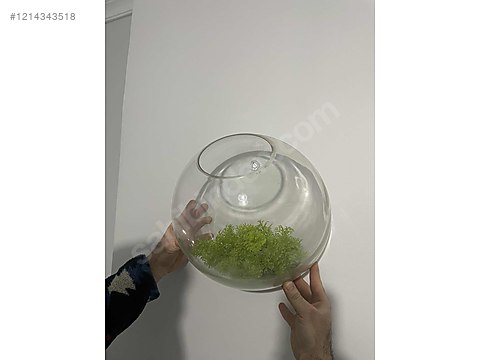 Cam fanus duvar tipi sahibinden.comda - 1214343518