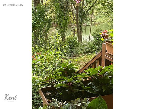 TEK YETKİLİYİZ -KEMER COUNTRY ORMAN EVLERİNDE GÖL ÖNÜ BAHÇE KATI ...