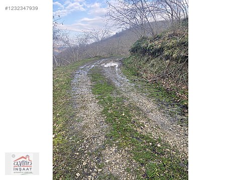 OERDI BURHANETTİN MH 14 DÖNÜM FINDIK BAHÇESİ - Satılık Arsa İlanları ...