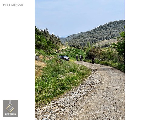 EFE TEKİN'DEN-2024 YILI FIRSAT-DOĞRU YER-DOĞRU FİYAT-2280M2 İMAR - Satılık Arsa İlanları ...