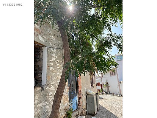 BURÇİN EMLAKTAN SATILIK TAS BİNA BAHÇELİ VE DEPO - Satılık Müstakil Ev ...