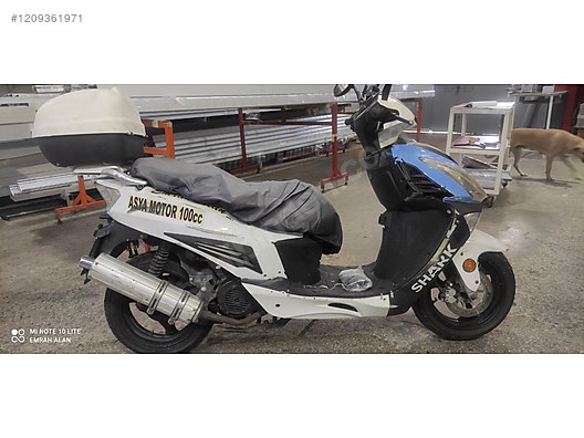 Asya Shark 150 2016 Model Scooter / Maxi Scooter Motor Sahibinden ...
