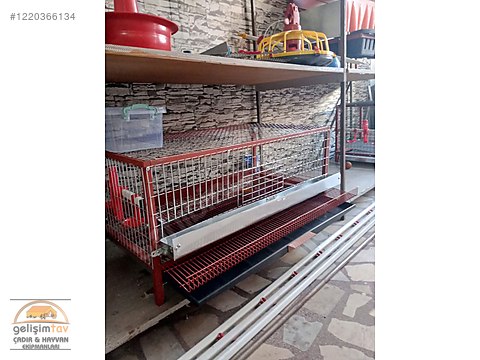 TEK KATLI BILDIRCIN KAFESİ sahibinden.comda - 1220366134