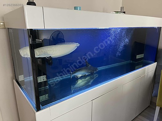 TEMAKS MARKA 2m70/70 CLEAR DEV AKVARYUM sahibinden.comda - 1262366359