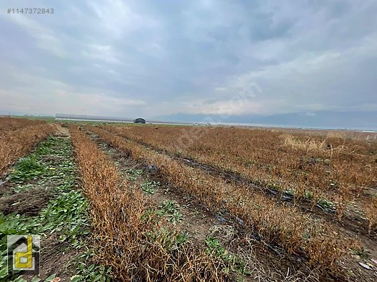 YURTBAŞINDA 10.674M2 TARLA MANZARALI DETAYDAN! - Satılık Arsa İlanları sahibinden.com'da ...