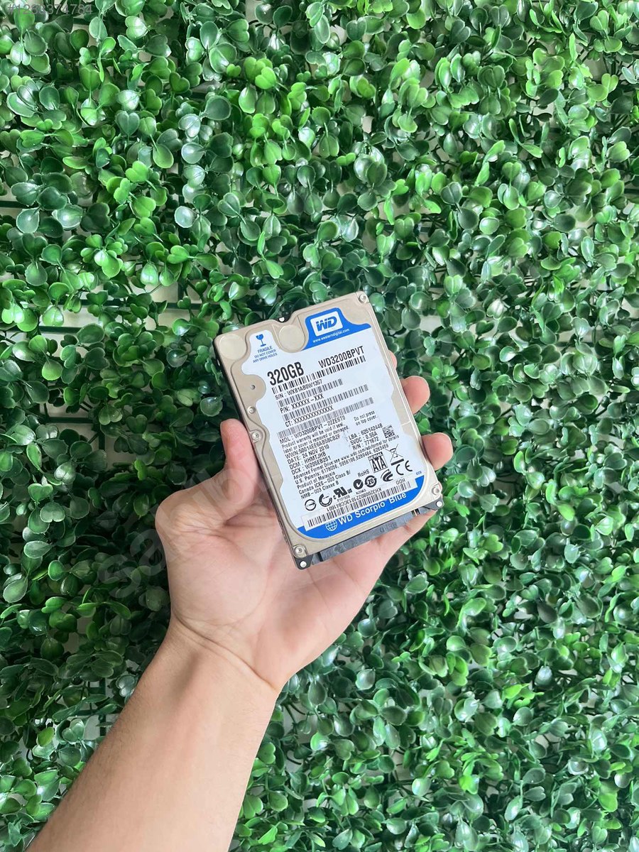 WD Blue 320 GB HDD - İlan ve alışverişte ilk adres sahibinden.com'da - 1283374784