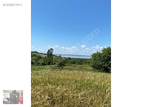 LAPSEKİ ÇARDAK DENİZ MANZARALI 2838 M2 FIRSAT ARAZİ - Satılık Arsa ...