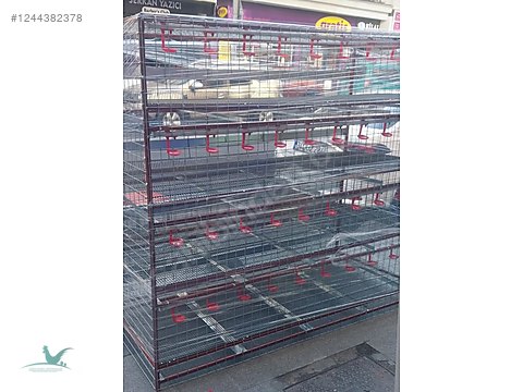 100 TAVUK KAPASİTELİ TAVUK KAFESİ sahibinden.comda - 1244382378