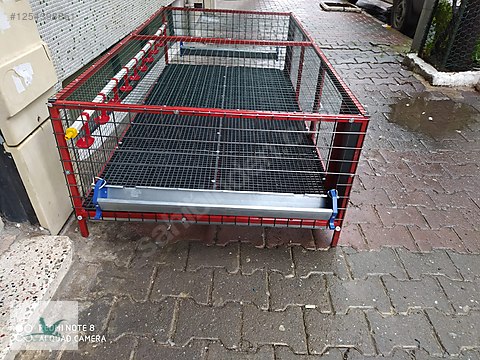 Tavuk Kafesi Tek Katlı sahibinden.comda - 1254398861