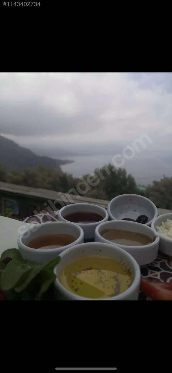 FETHİYE KABAK KOYUNDA LEBİDERYA HAVUZLU DUBLEKS VİLLA - Satılık ...