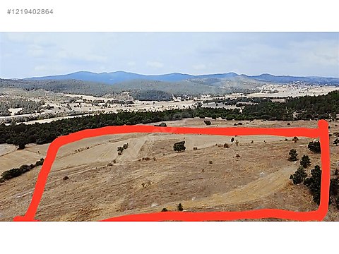 KÜTAHYA TAVŞANLI AĞAKÖY 6159 M2 TARLA SADECE 290 BIN TL - Satılık Arsa ...