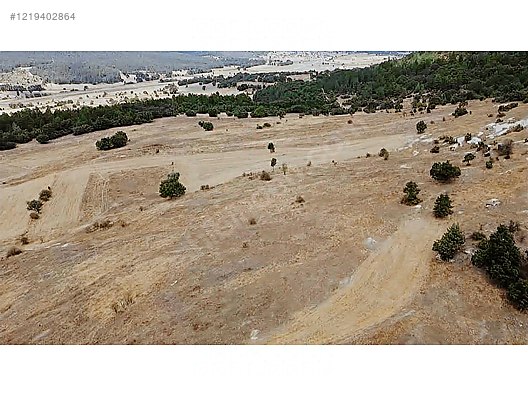 KÜTAHYA TAVŞANLI AĞAKÖY 6159 M2 TARLA SADECE 260 BIN TL - Satılık Arsa ...