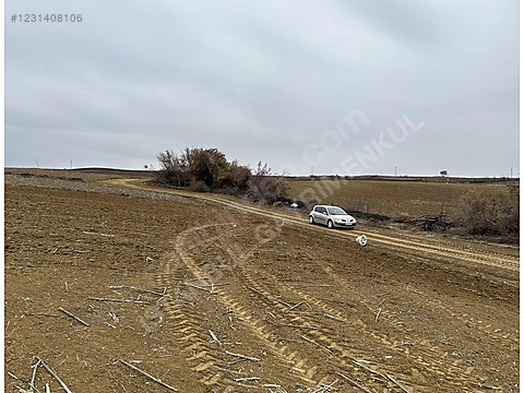 Tek Tapu 4.293 m2 Yatırımlık Kupon Arazi - Satılık Arsa İlanları ...
