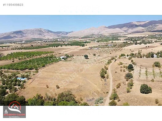 [ACG] BASKİL ŞEFKAT' TE SATILIK BAHÇE ARAZİSİ 5100 METREKARE - Satılık ...