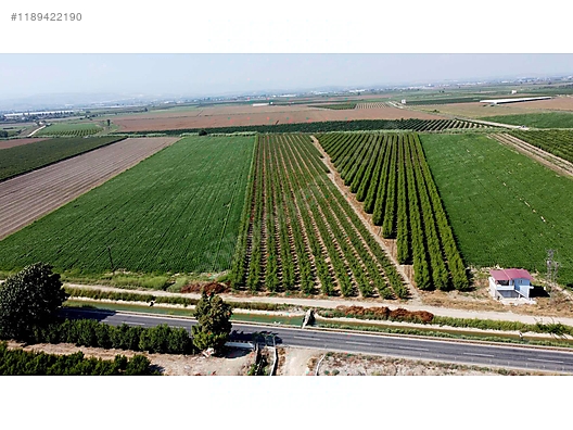 SATILIK HELEKE KÖYÜNDE 27.749,52 m2 GAROFA CİNS NEKTARİN BAHÇESİ ...