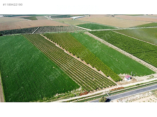 SATILIK HELEKE KÖYÜNDE 27.749,52 m2 GAROFA CİNS NEKTARİN BAHÇESİ ...