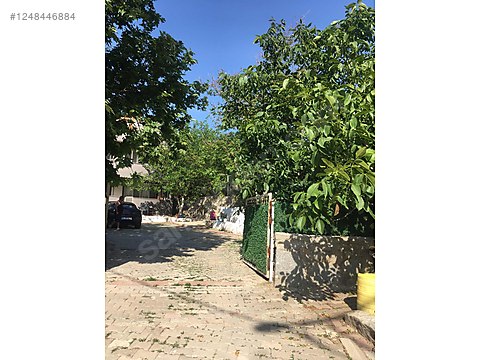 ERDEK NARLI BAĞ EVİ KİRALIK YAZLIK(DOĞA VE HUZURU SEVENLERE) - Kiralık ...