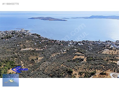 ATA GAYRİMENKULDEN ERDEK NARLI'DA 3148M² SATILIK ZEYTİNLİK&TARLA ...