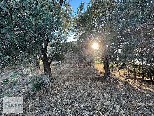 Hızırşah'ta deniz manzaralı 5.820 m2 tarla ve yıkık değirmen - Satılık ...