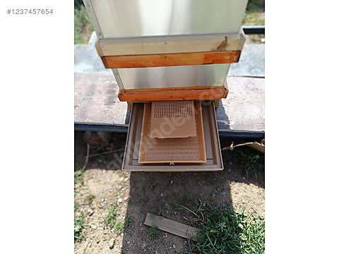 ARI KOVANI sahibinden.comda - 1237457654