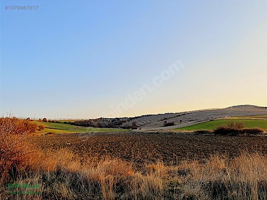 KEŞAN B.DOĞANCA KÖYÜNDE 24.314 m2 YOLA CEPHELİ SATILIK TARLA - Satılık Arsa İlanları sahibinden ...