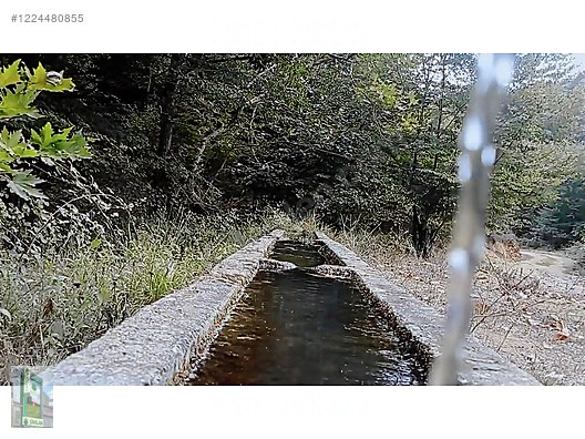 RESMÎ YOLA VE ORMANA CEPHE HARİKA MANZARALI 2043 m2 HOBİ BAHÇESİ ...