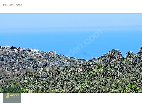 ORDU YASON GAYRİMENKUL DEN SATILIK ARAZİ. - Satılık Arsa İlanları ...