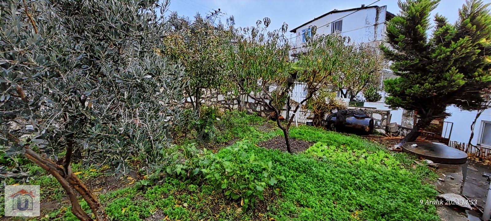 ERDEK NARLI DA BAHÇE İÇİN DE SATILIK MÜSTAKİL EV - Satılık Müstakil Ev ...