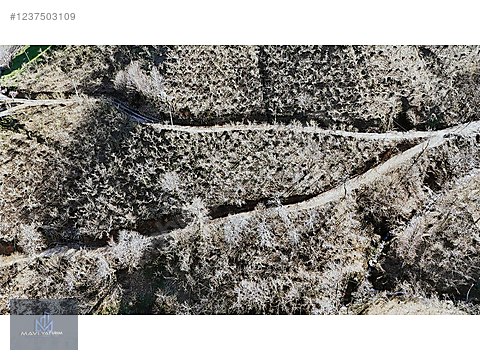 MAVİ YATIRIM'DAN 5043m2 TEK TAPU - Satılık Arsa İlanları sahibinden.com ...