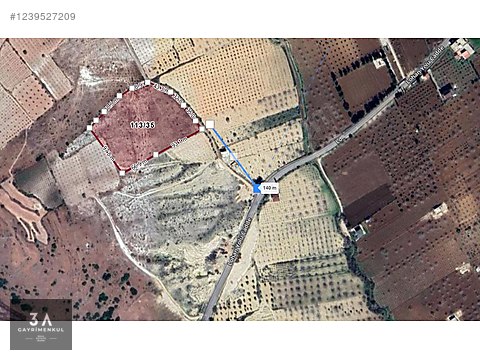 3A'DAN YÜKSEK KONUM RESMİ YOLU OLAN ASFALTA YAKIN SATILIK ARAZİ ...