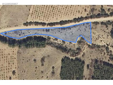 Acil yetten - Satılık Arsa İlanları sahibinden.com'da - 1229535957