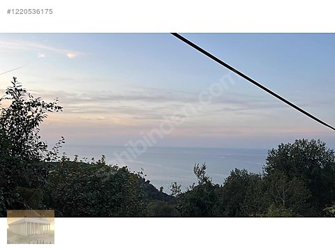 RİZE FINDIKLI'DA 5647 m2 DENİZ MANZARALI ÇAY BAHÇESİ TARLA - Satılık ...