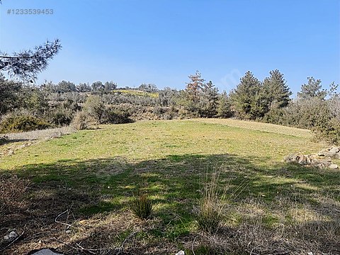TARSUS HACIHAMZALI DA 4750 mt kare tarla - Satılık Arsa İlanları ...
