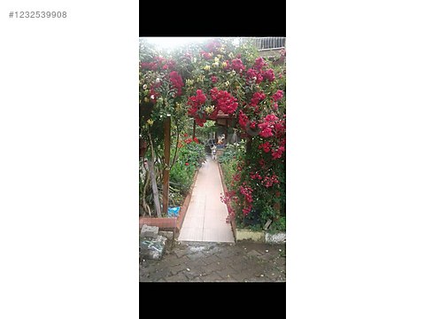 Agva merkez - Satılık Villa İlanları sahibinden.com'da - 1232539908