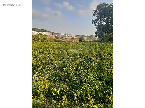 Susurluk yeni devlet hastanesi karsisinda bahce 2179 metre - Buzağılık ...