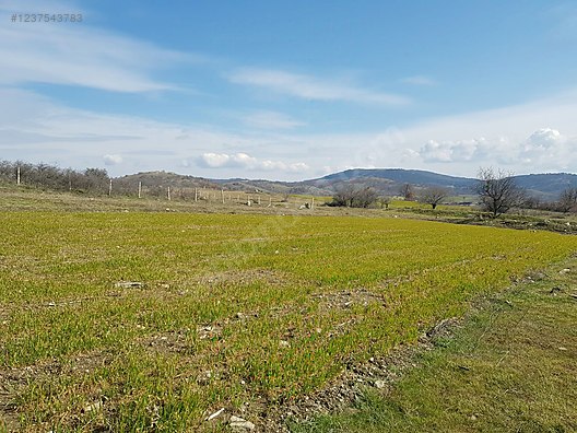 KIRKLARELİ ELMACIK KÖYÜ MÜSTAKİL TAPULU RESMİ YOL 13 DÖNÜM TARLA ...