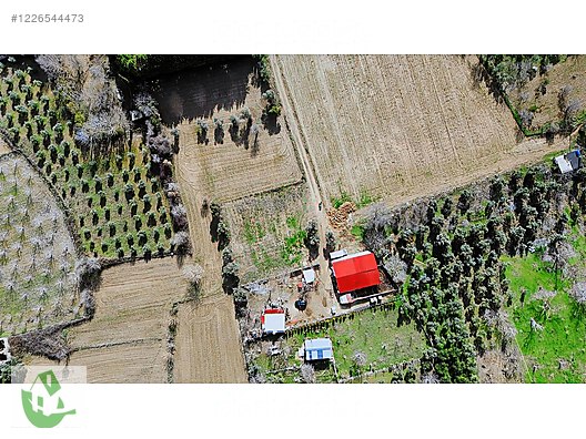 Muğla Ula'da 577 m2 Fırsat Tarla - Satılık Arsa İlanları sahibinden.com ...