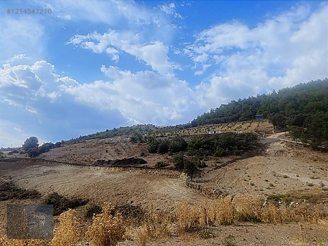 YENİŞEHİR MARMARACIK KÖYÜNDE 2080M2 SATILIK FIRSAT TARLA - Satılık Arsa ...