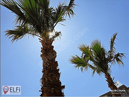 ELFİ'den Kayapa'da Konsept Site Arkatpark 2'de Şerefiyeli 3+1 - Satılık Daire İlanları ...