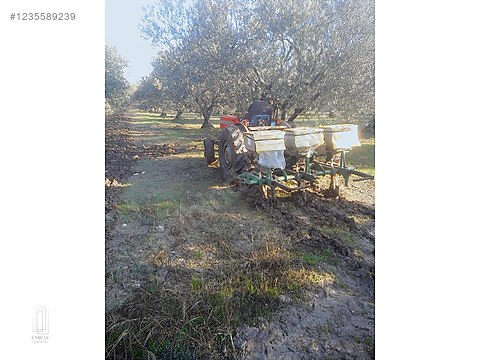 EMRAY'DAN AKHİSAR / KAYALIOĞU'NDA TEK TAPU 7.300 M2 ZEYTİNLİK - Satılık ...