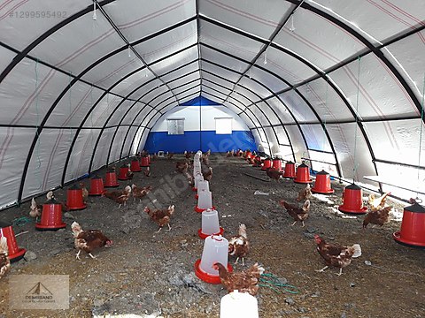 500 ADET TAVUK KAPASİTELİ, TAVUK KÜMES ÇADIRI,HAYVAN ÇADIRI ...