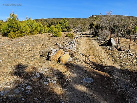 TEK ARSA`dan DENİZLİ TAVAS GÖKÇELER KÖYÜNDE 717 mt2 MÜSTAKİL - Satılık ...