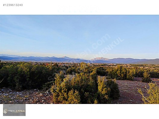 TEK ARSA`dan DENİZLİ TAVAS YORĞA KÖYÜNDE 1.625mt2 MÜSTAKİL - Satılık ...