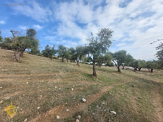 YENİ ROTA'DAN BOĞAZİÇİ KONUTLARI ALTI GÖL MANZARALI 4.550 m2 BAĞ ...